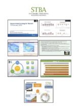 Articles and Presentations - STBA